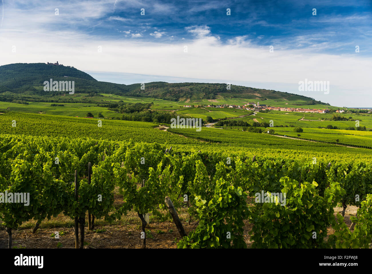 Hippolyte hi-res stock photography and images - Alamy