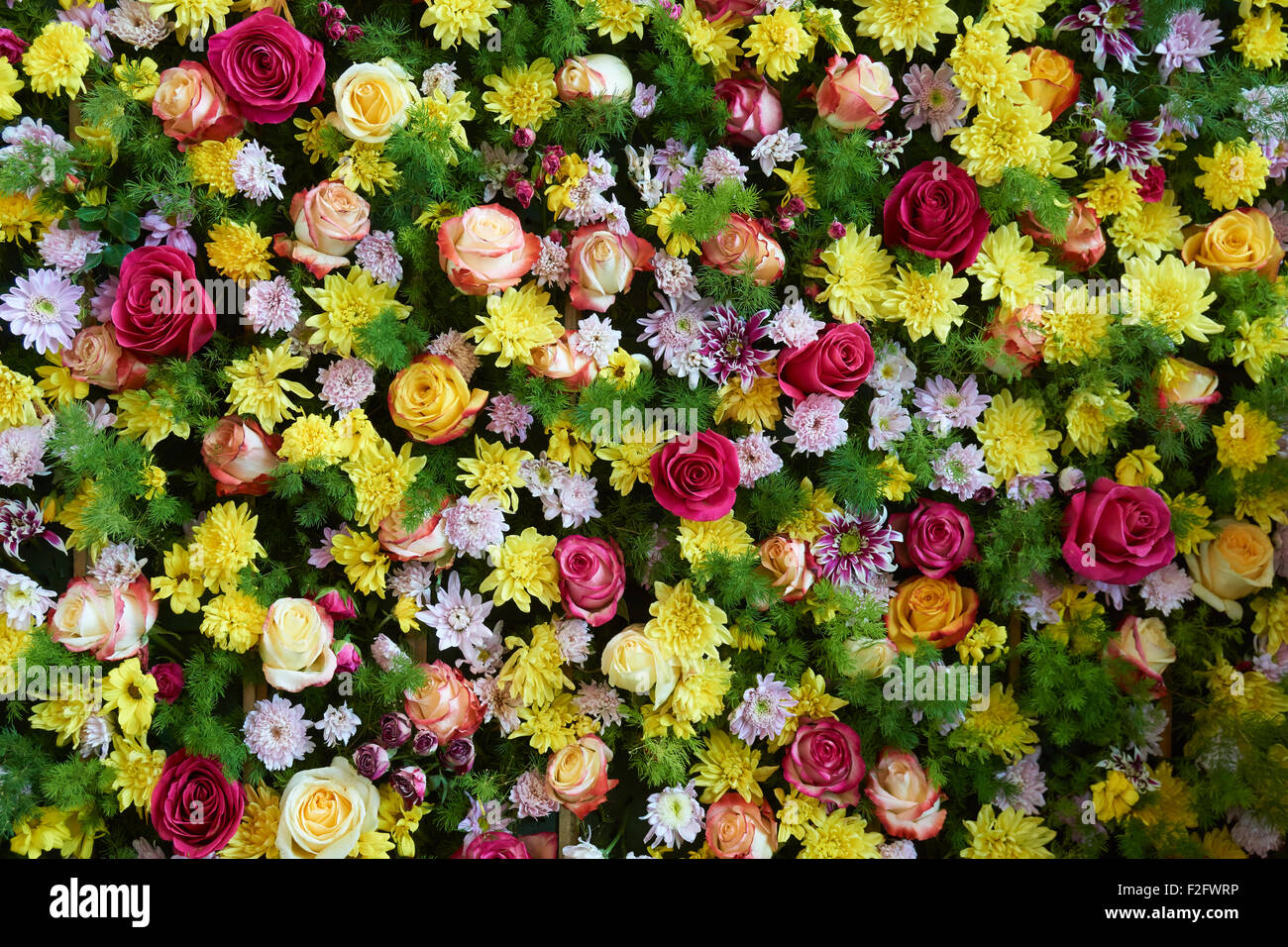 Wall decorated by a variety of bright flowers Stock Photo - Alamy