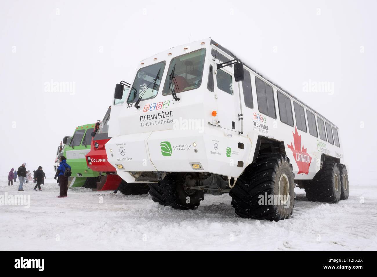 Athabasca Glacier And Columbia Icefield High Resolution Stock Photography and Images - Alamy