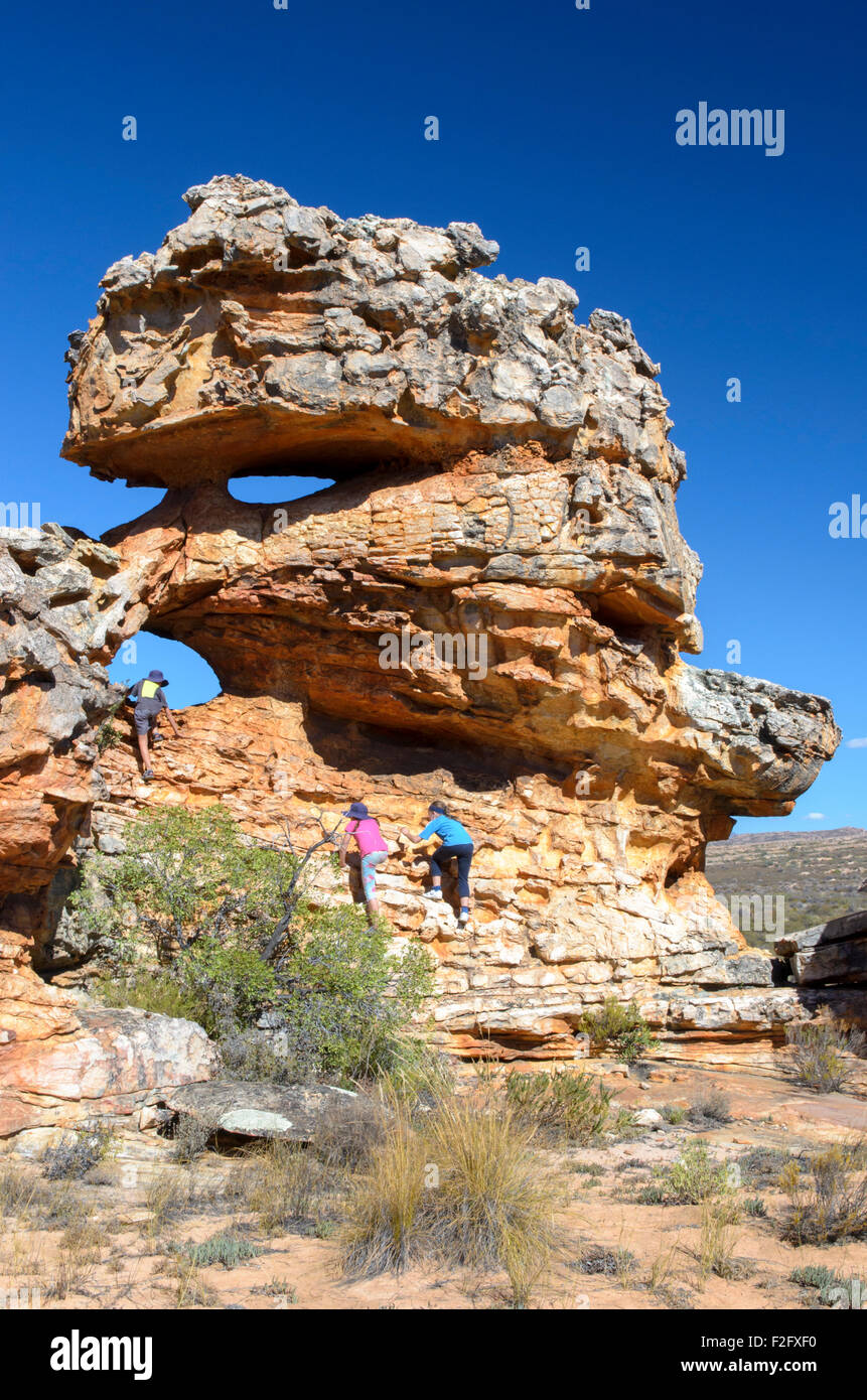 Hikers climbing a rock formation in the Cederberg mountains of South ...