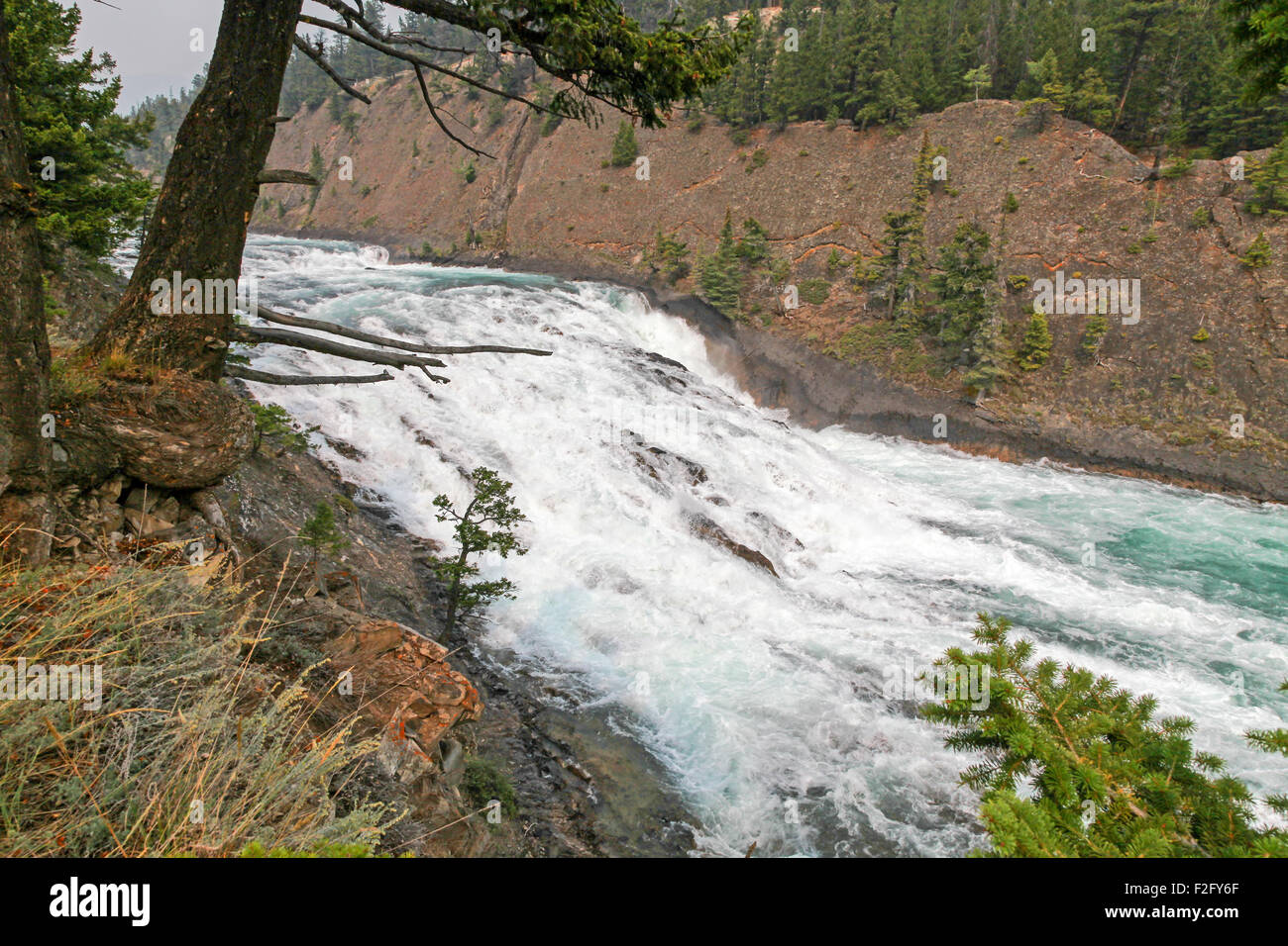Bow river hi-res stock photography and images - Alamy
