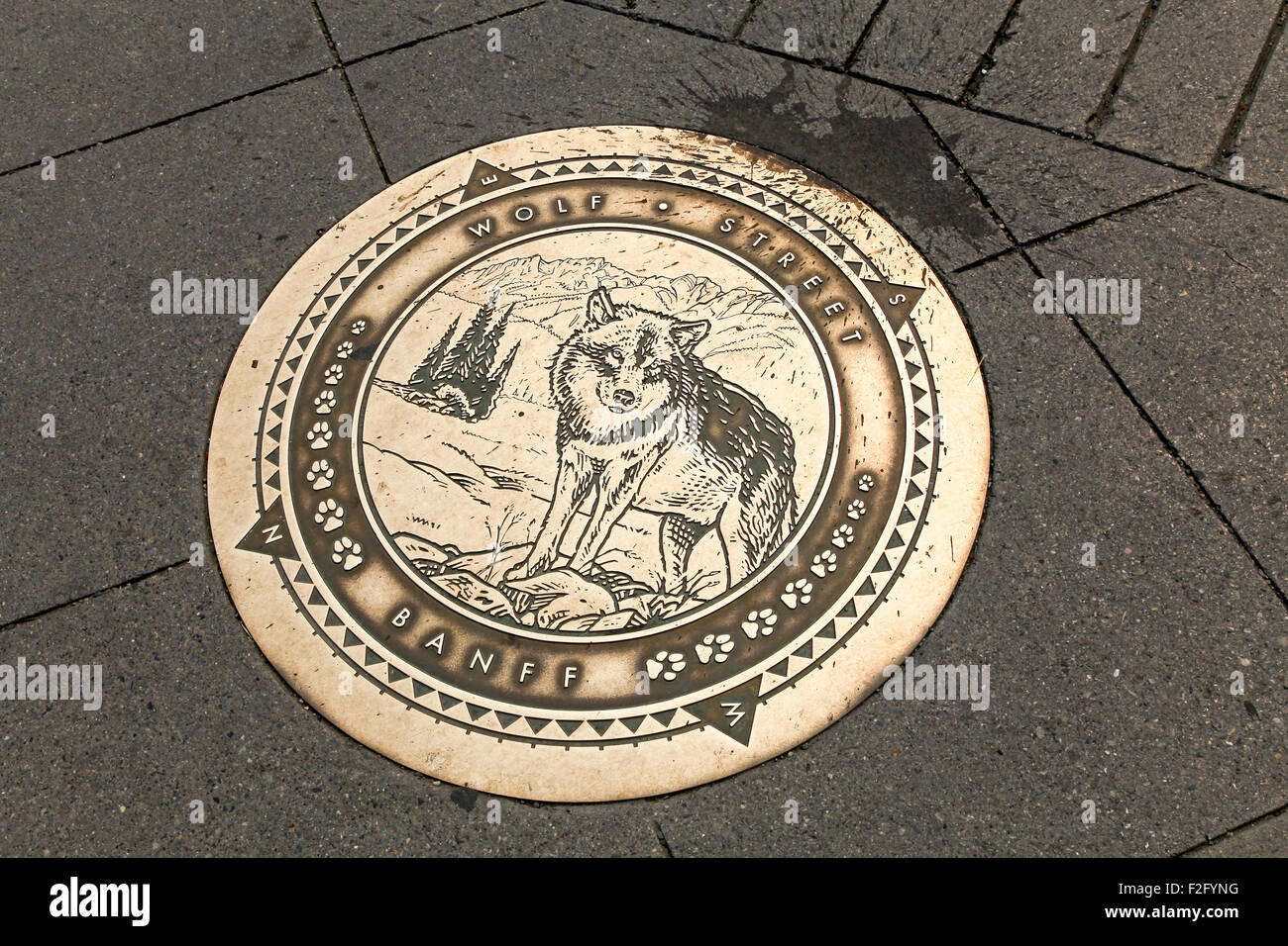 A brass plaque saying Wolf Street set in the sidewalk or pavement at ...