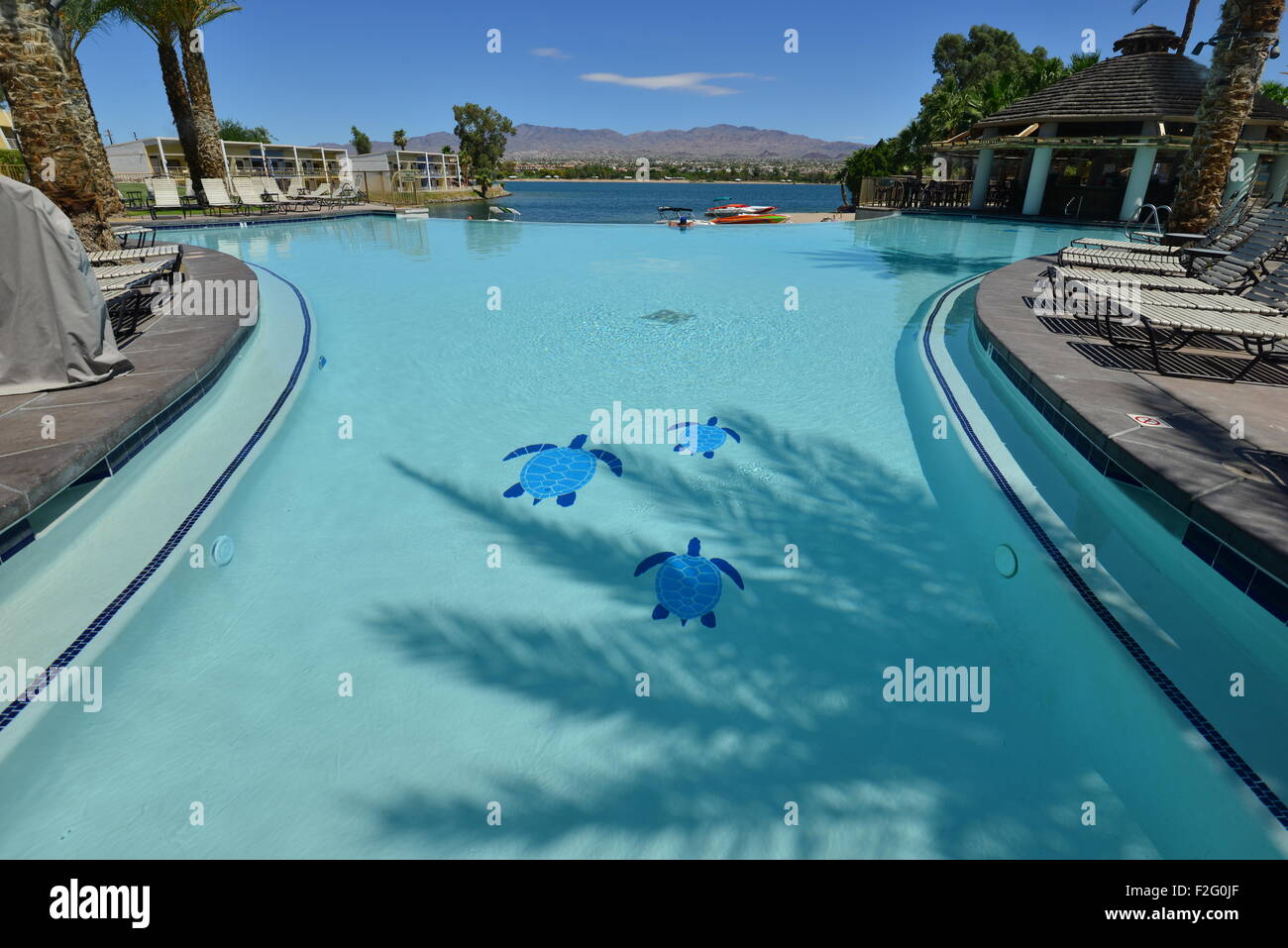 A pool at an American resort at Lake Havasu Stock Photo - Alamy