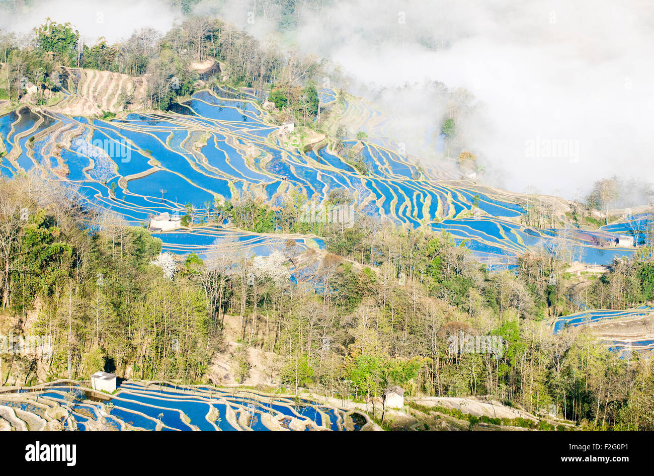Farms in china hi-res stock photography and images - Alamy