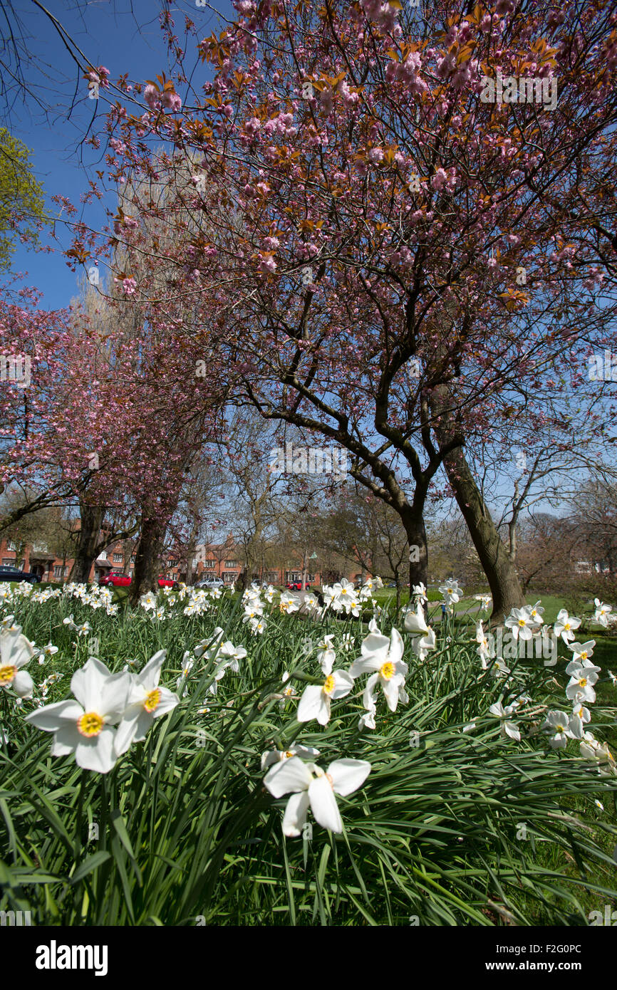 Village of Port Sunlight, England. Picturesque spring view in Port ...