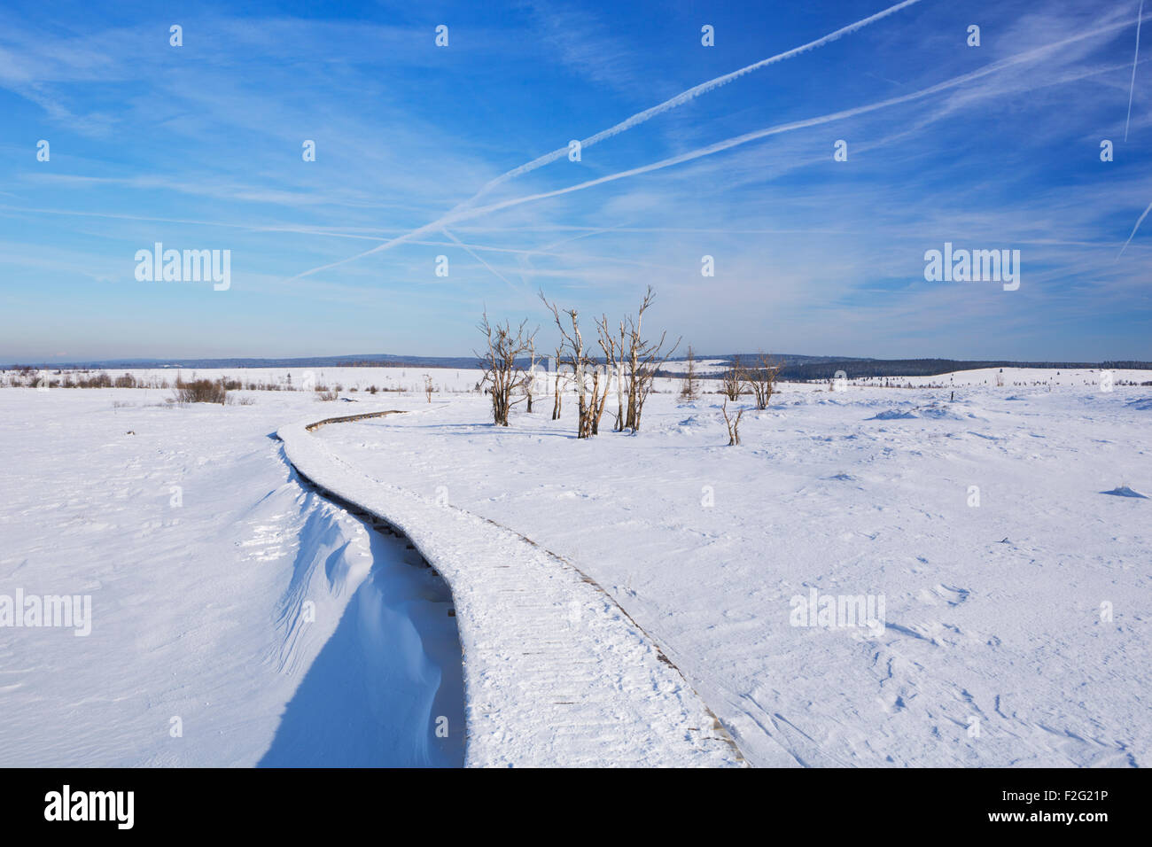 A boardwalk through the frozen landscape of the Hautes Fagnes (Hoge ...