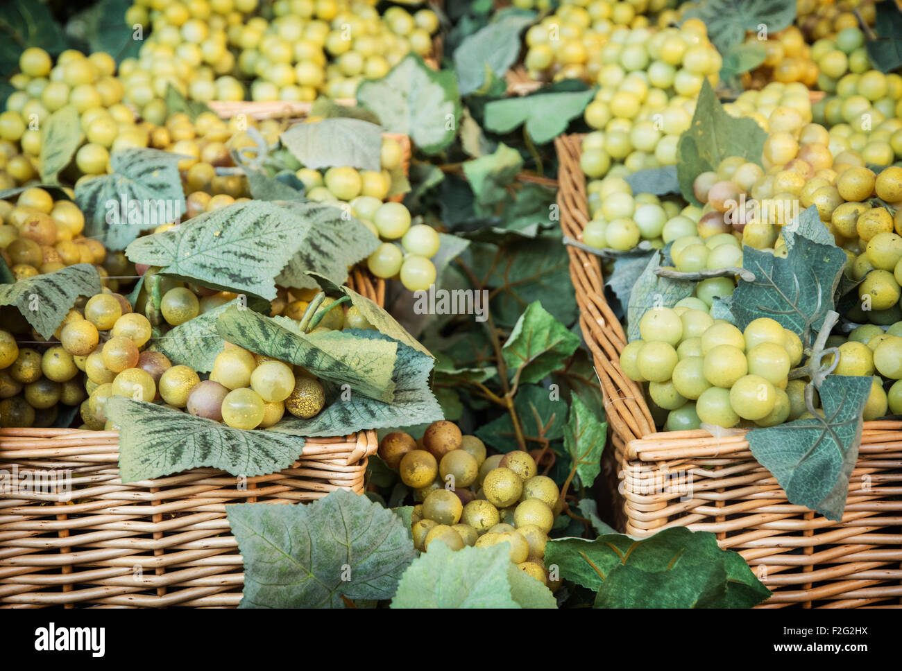 Various grape varieties hi-res stock photography and images - Alamy