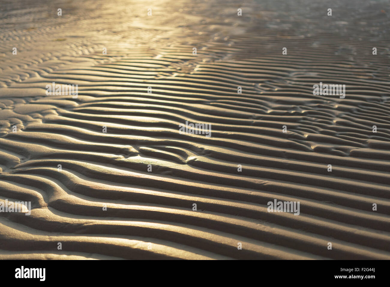Background texture sand hi-res stock photography and images - Alamy