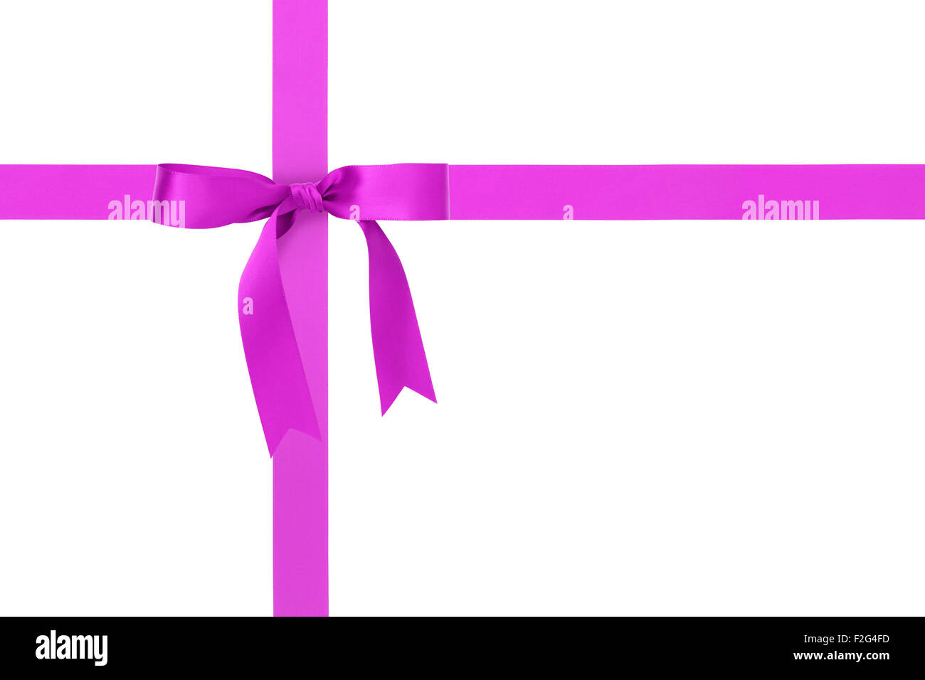 Purple Gift Ribbon