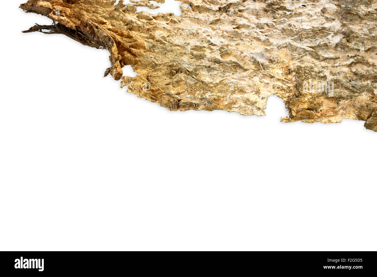 old wood tree bark background texture pattern Stock Photo - Alamy