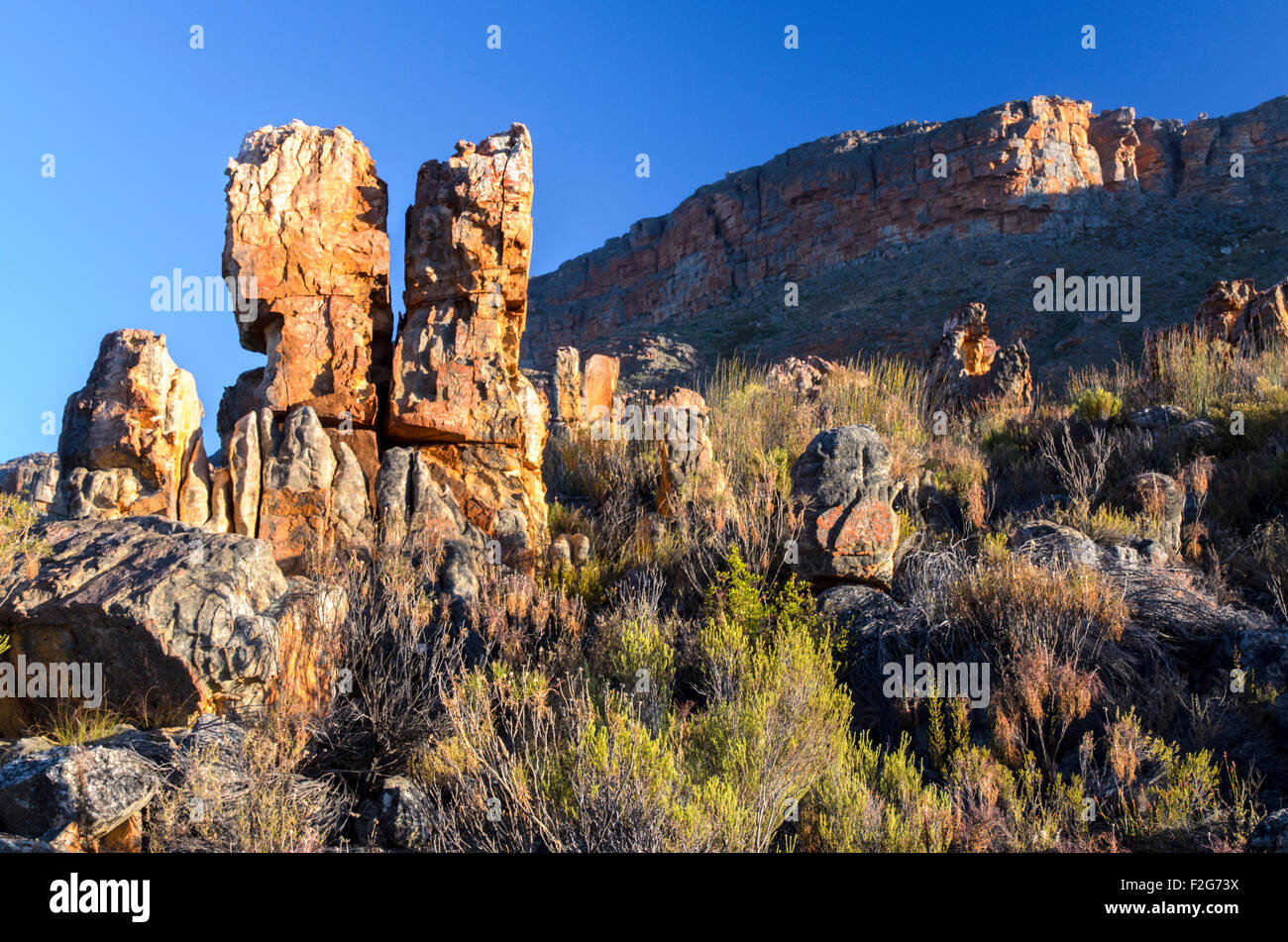 Wolfberg hi-res stock photography and images - Alamy