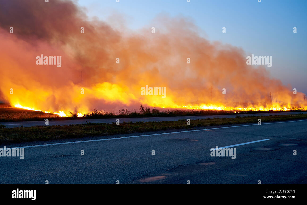 Fire on field burning grass hi-res stock photography and images - Alamy