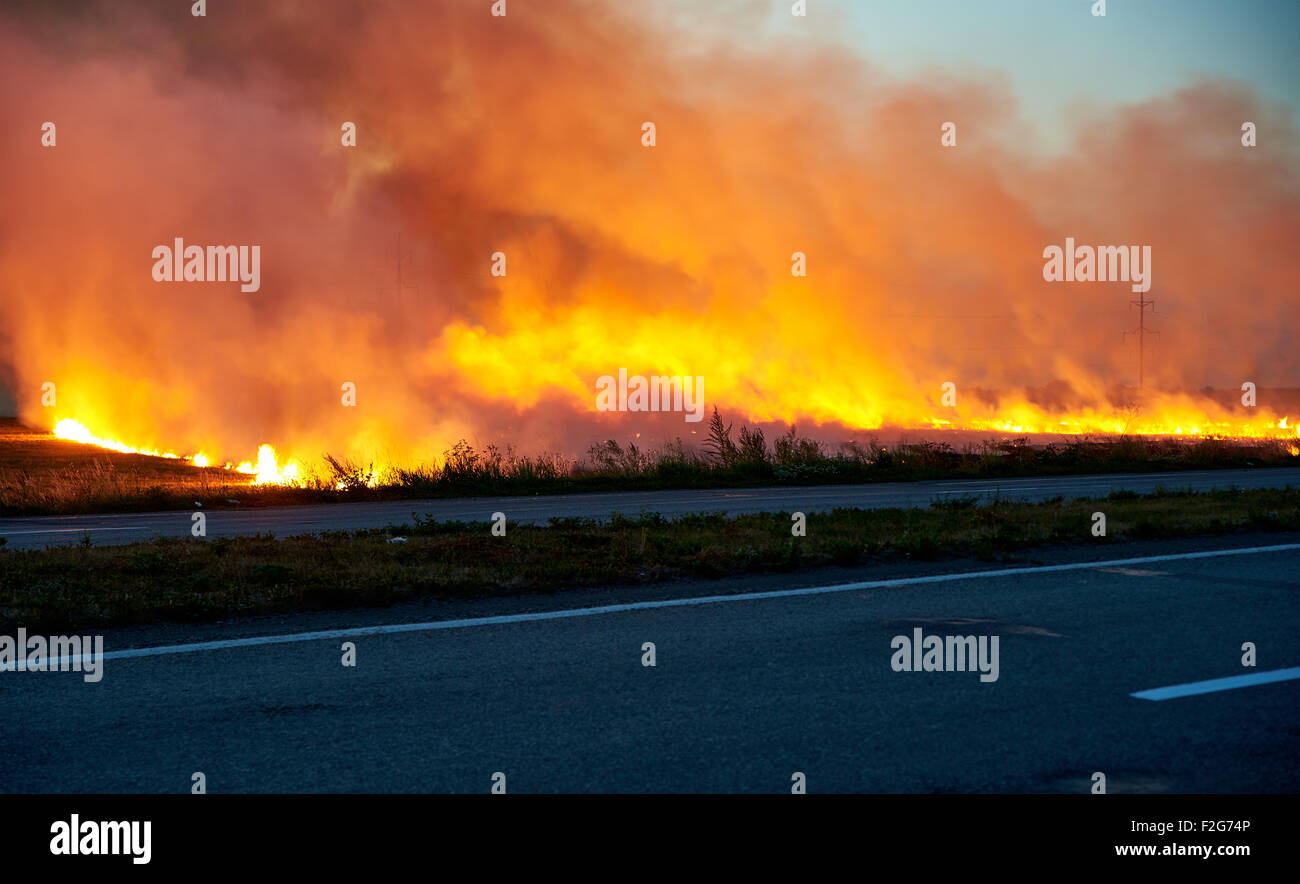 Fire on field burning grass hi-res stock photography and images - Alamy
