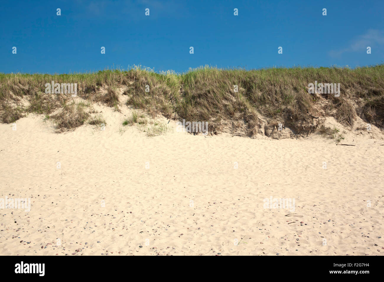 From beach side dune hi-res stock photography and images - Alamy