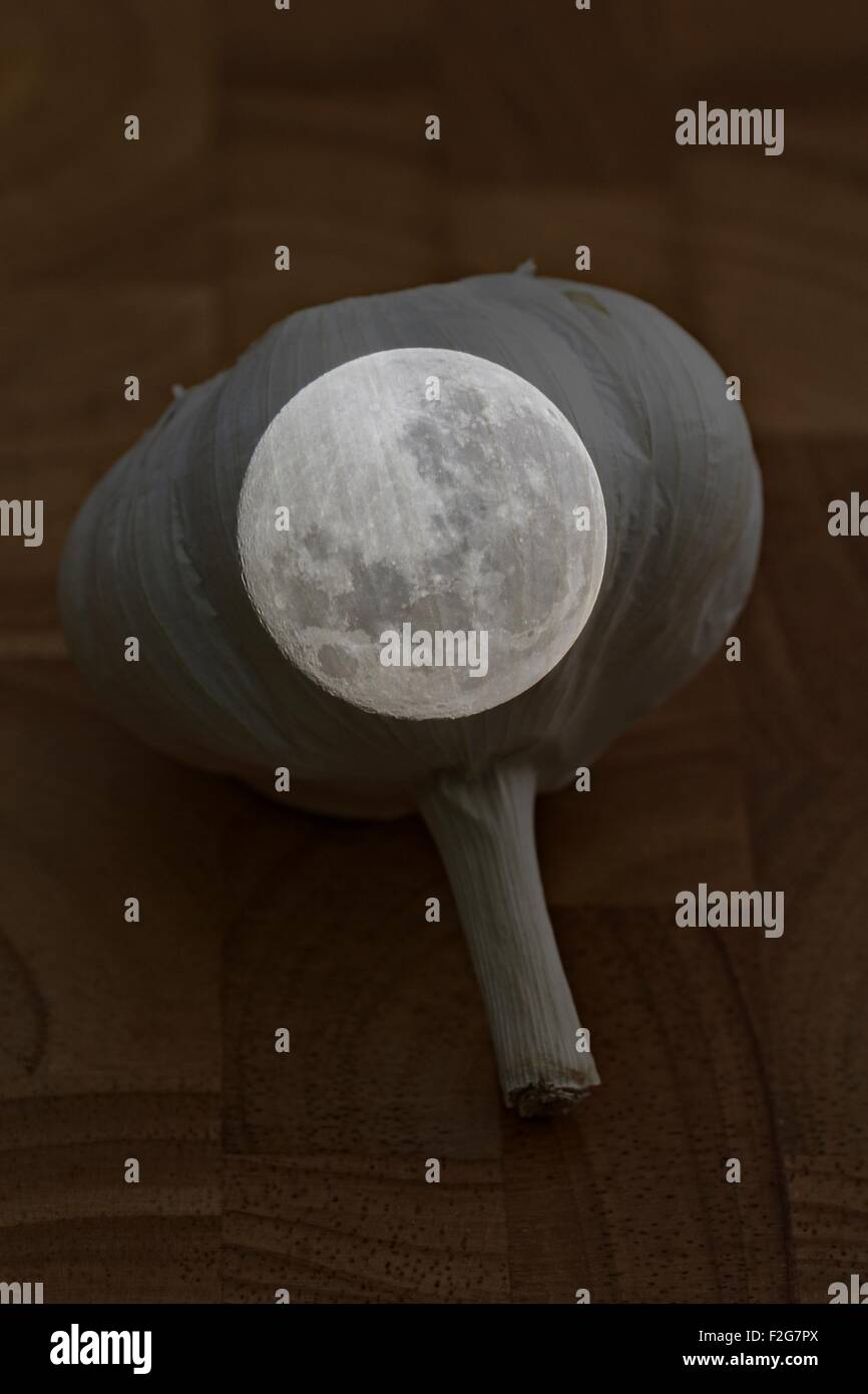 Garlic Moon Double Exposure Stock Photo - Alamy