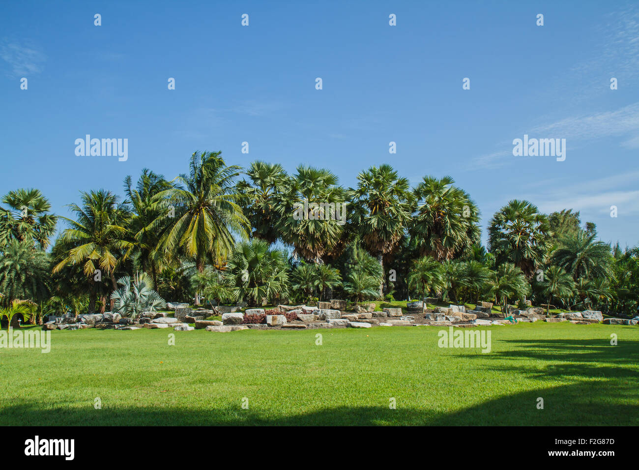 Tree in railing hi-res stock photography and images - Alamy