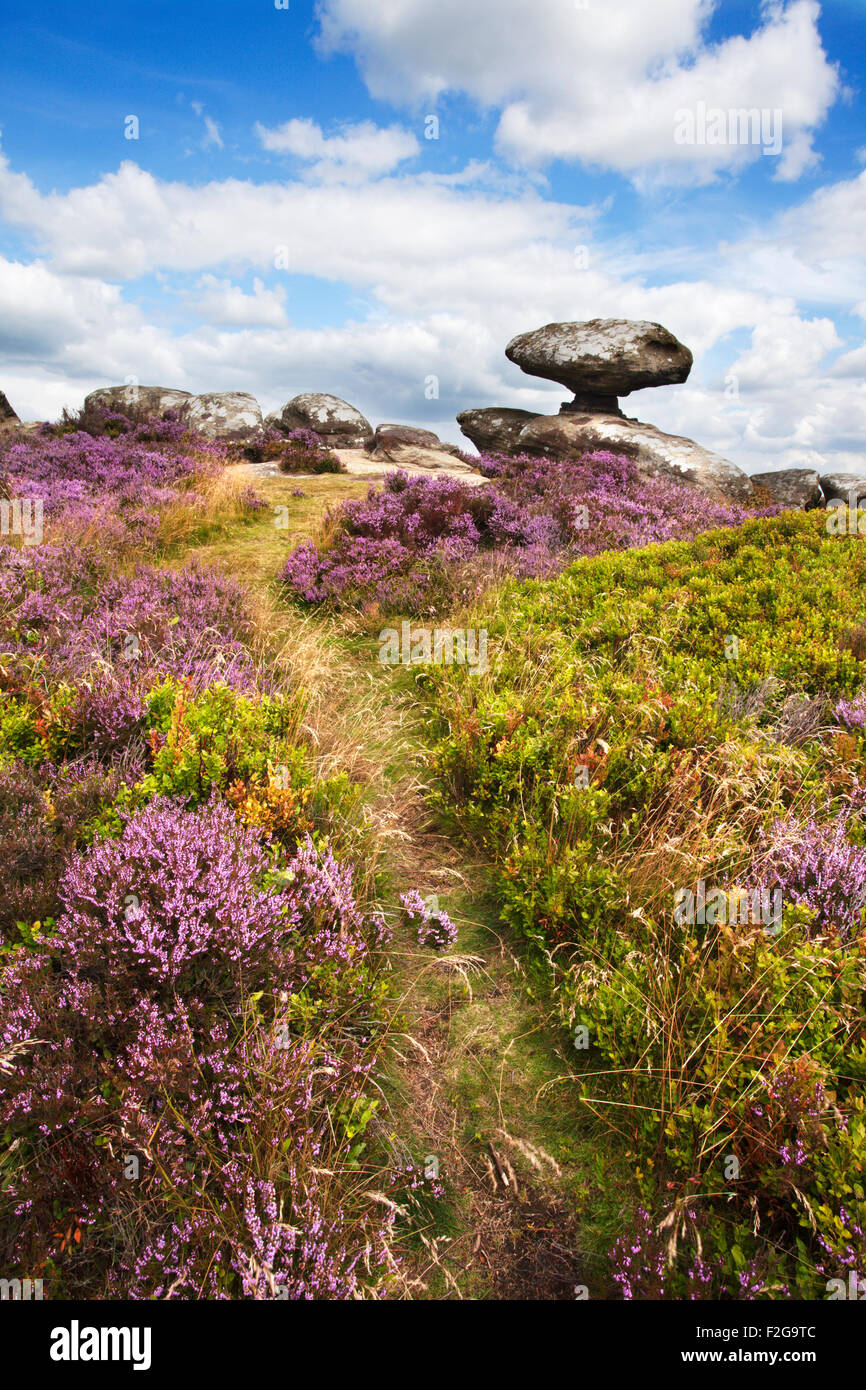 North Yorkshire Heather Rock High Resolution Stock Photography and ...