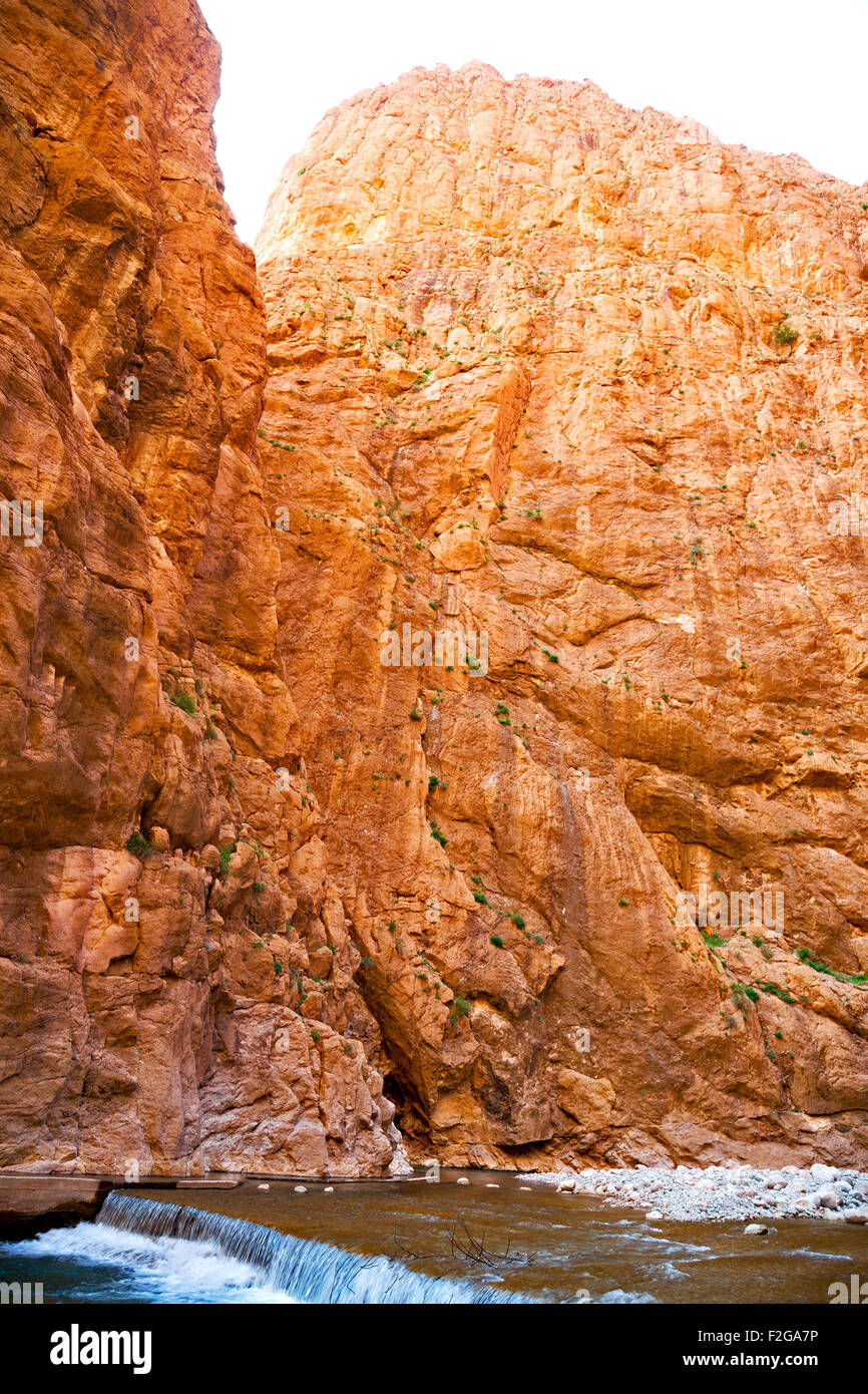 in todra gorge morocco africa and river Stock Photo - Alamy