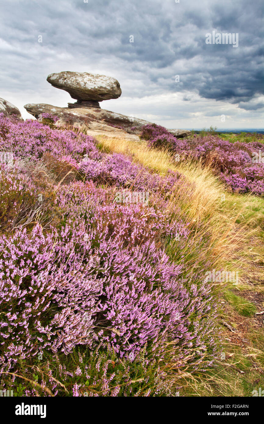 North Yorkshire Heather Rock High Resolution Stock Photography and ...