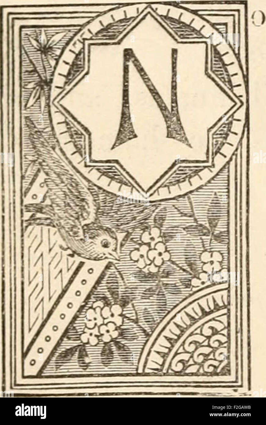 Historical naturalists hi-res stock photography and images - Alamy