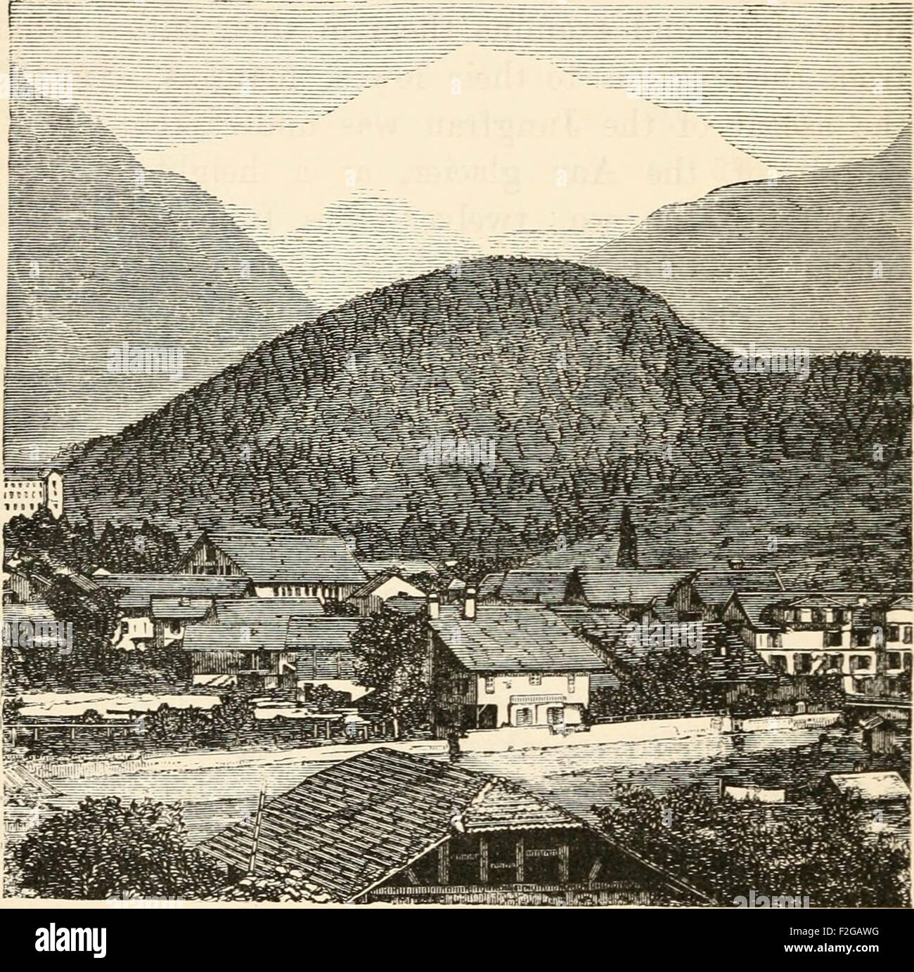 Historical naturalists hi-res stock photography and images - Alamy