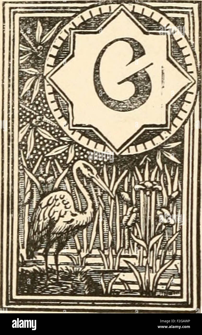 Historical naturalists hi-res stock photography and images - Alamy