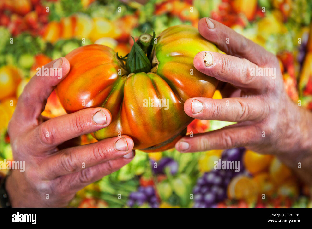 Gigantomo hi-res stock photography and images - Alamy