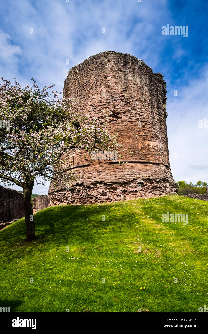 Skenfrith Castle Monmouthshire Wales Stock Photo - Alamy