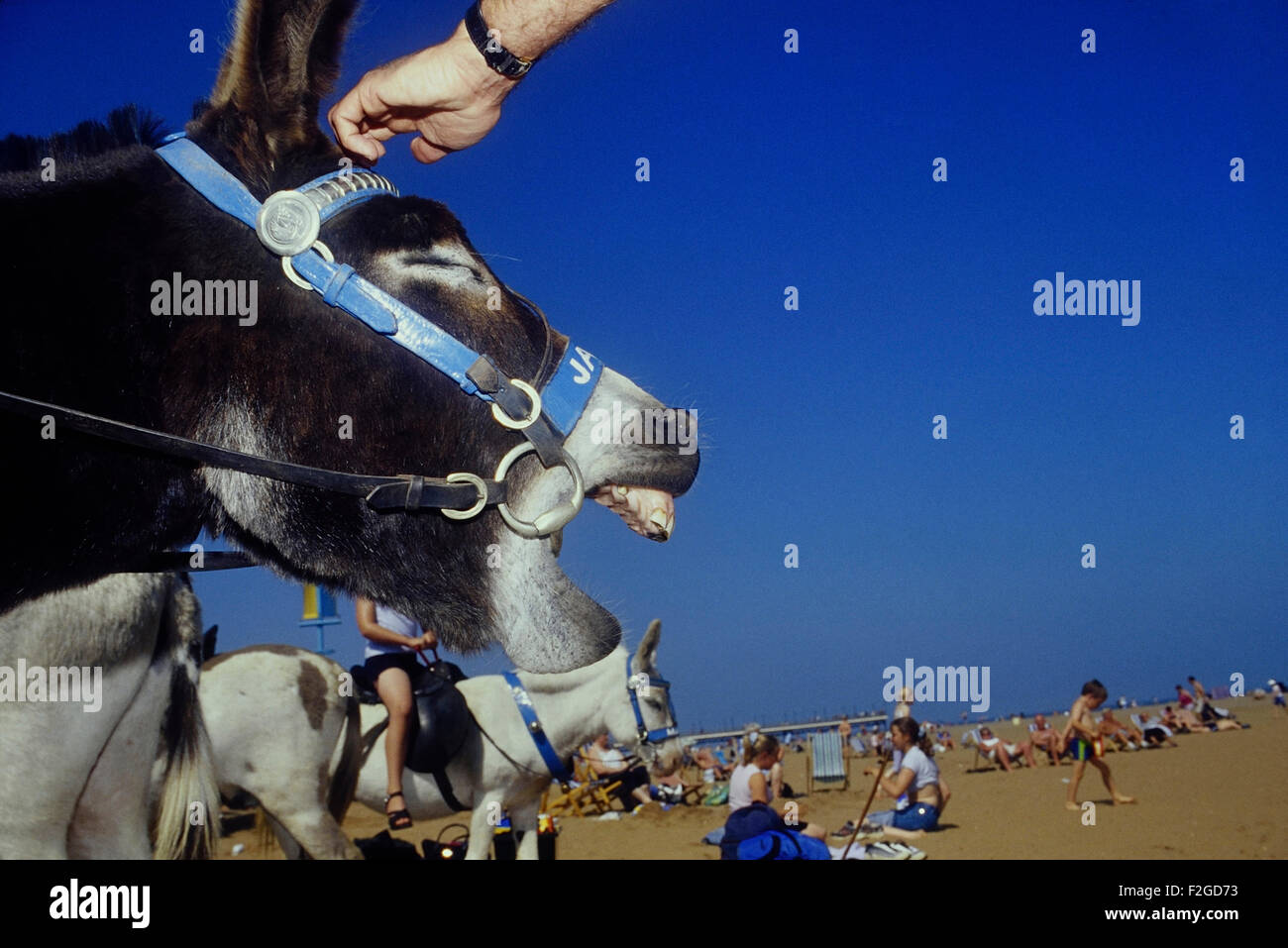 Skeggy beach hi-res stock photography and images - Alamy