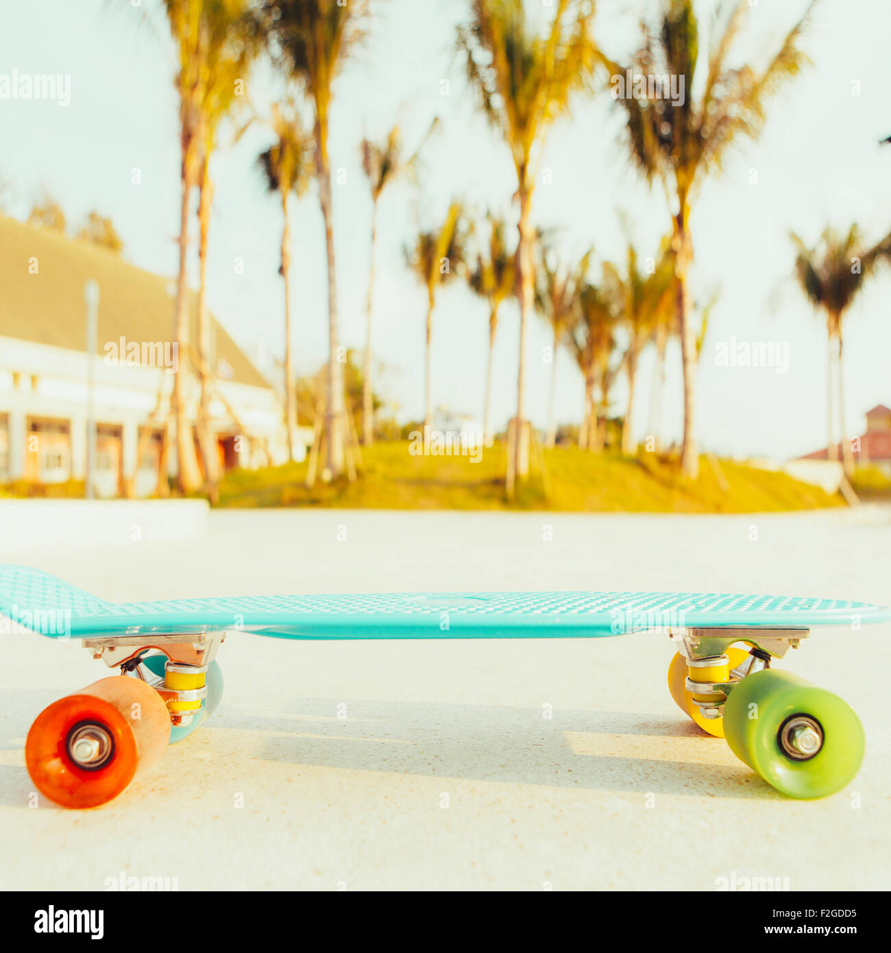 blue penny board with multicolored wheels stands on the track in front ...