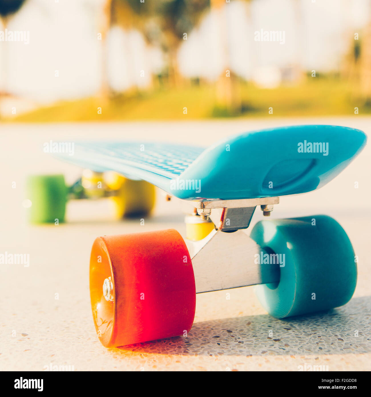 rear view of the blue penny board with bright multicolored wheels ...