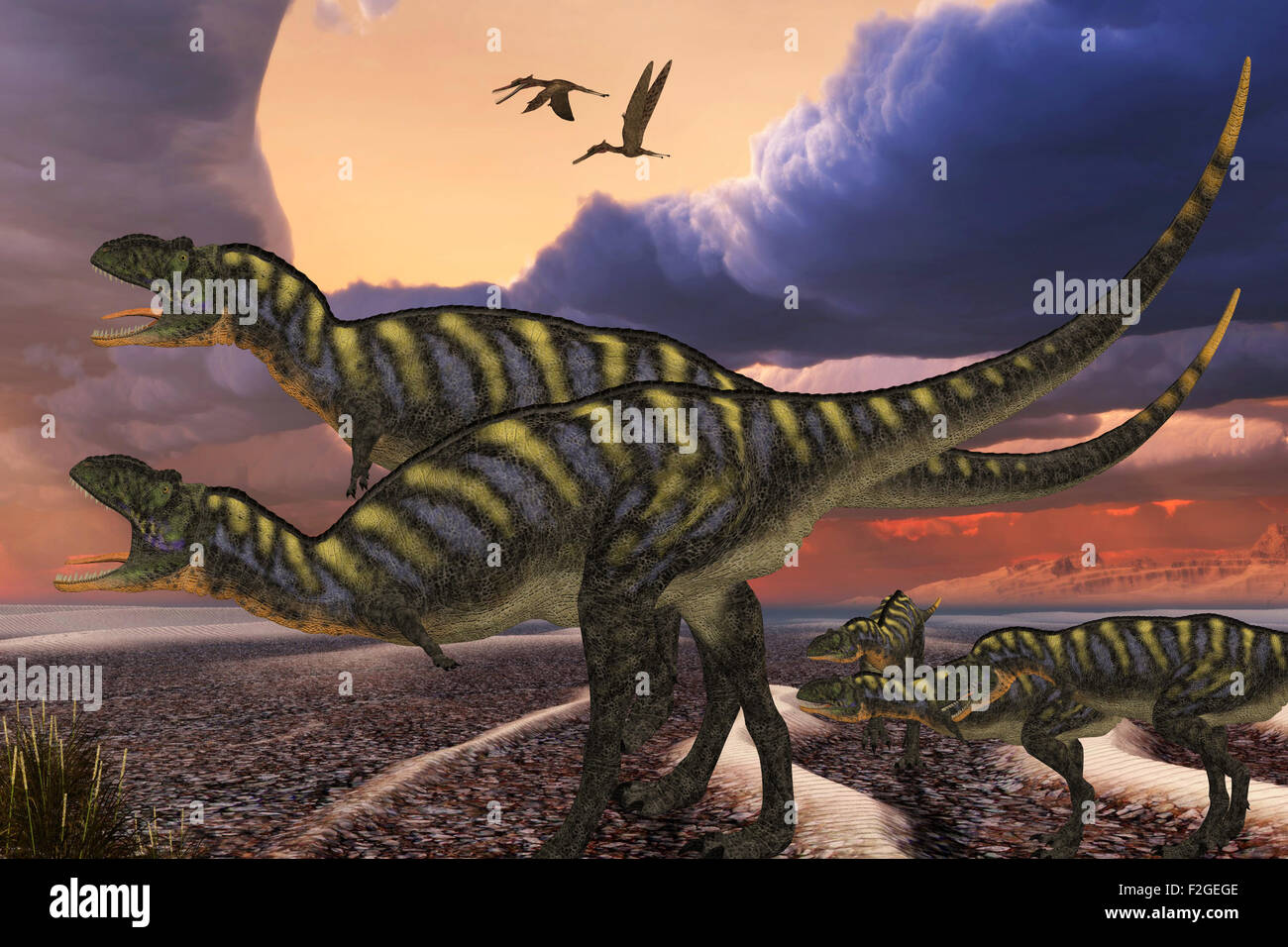 Parental Aucasaurus dinosaurs defend their youngsters from a passing ...