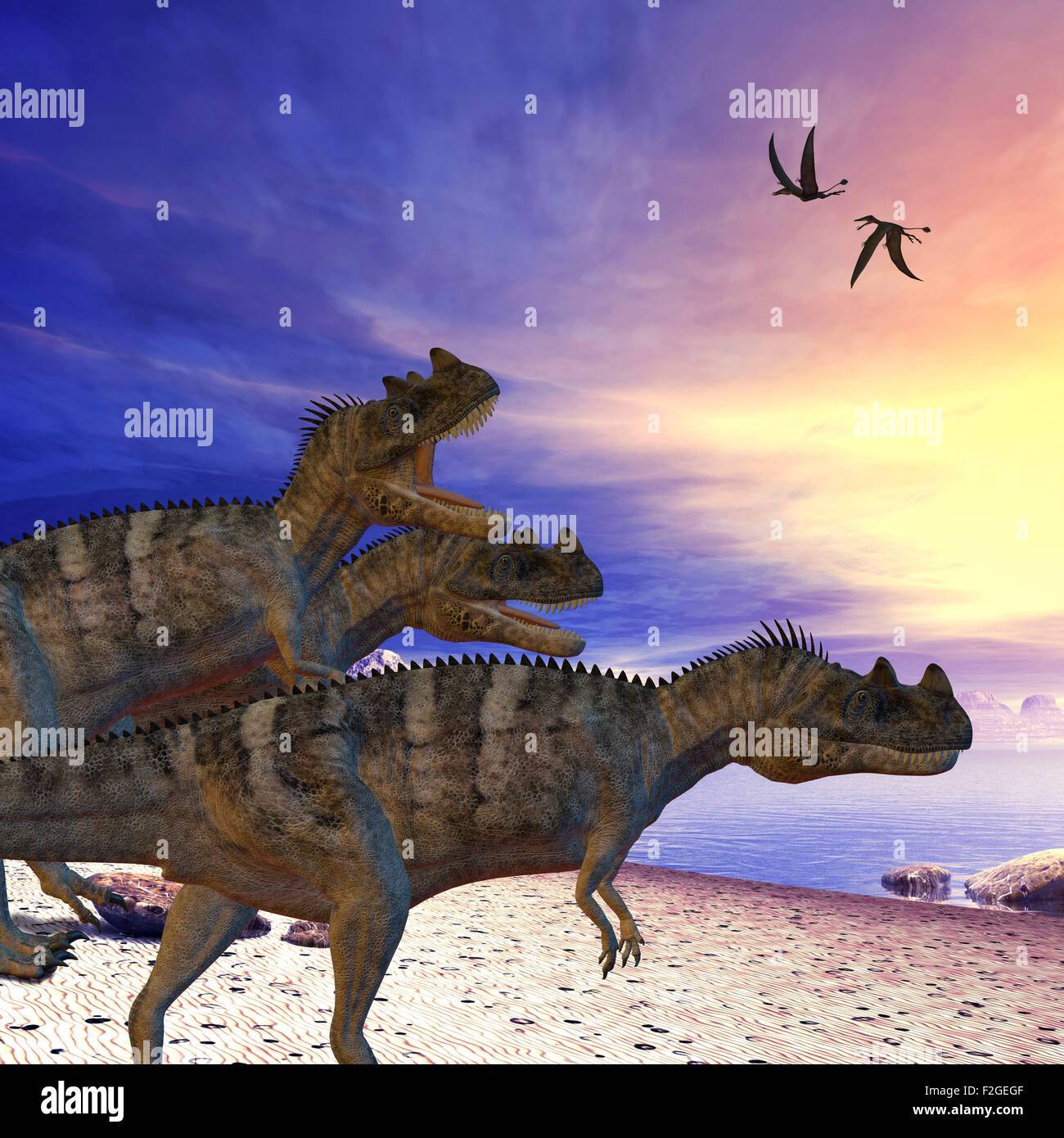 Ceratosaurus hi-res stock photography and images - Alamy