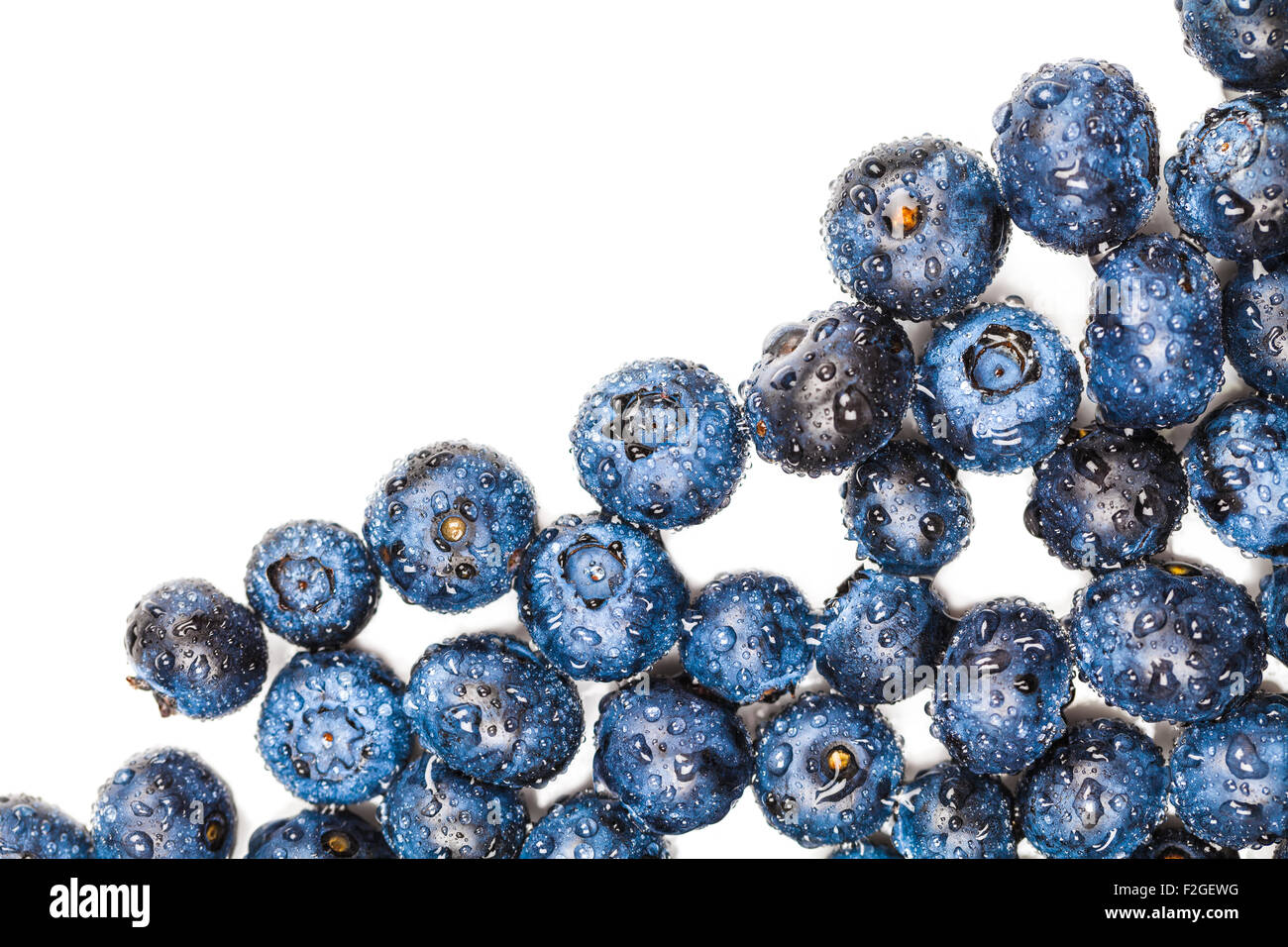 natural fresh blueberries closeup on white background Stock Photo - Alamy