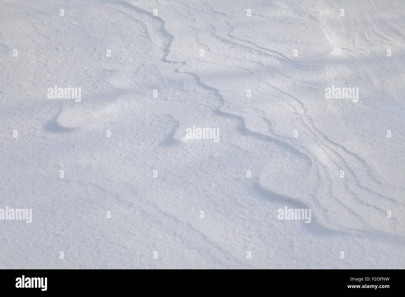 Surface of snow crust on a windy day Stock Photo - Alamy