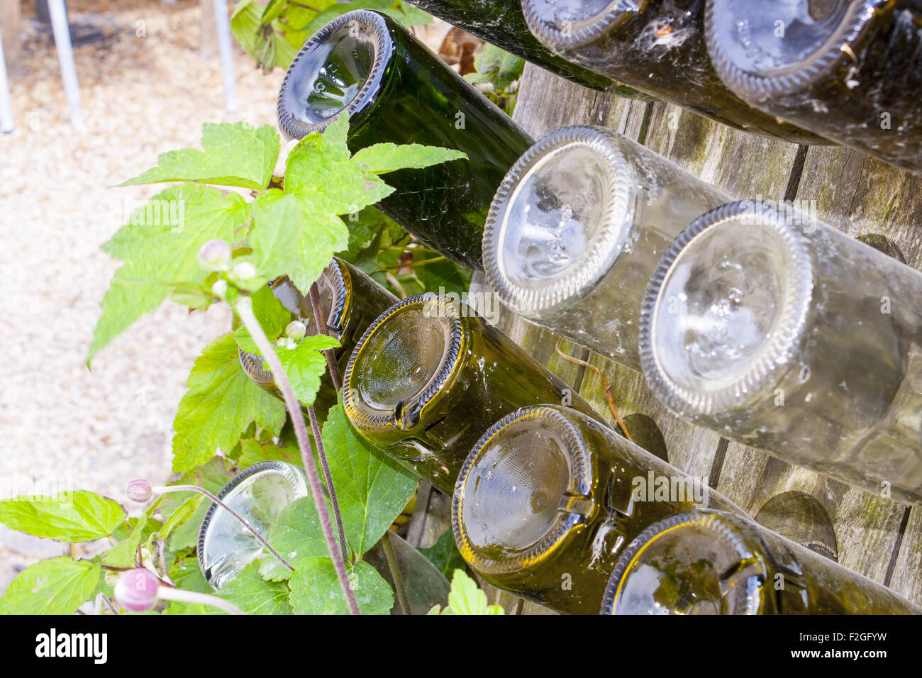 empty wine bottles in a wooden rack Stock Photo - Alamy