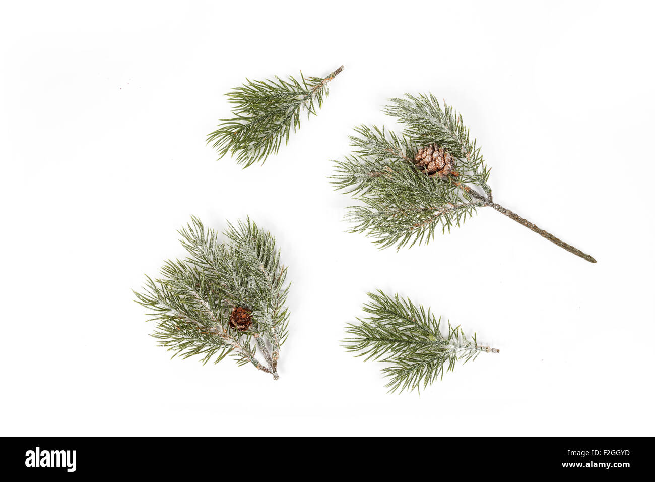 Christmas tree pine fireplace Cut Out Stock Images & Pictures - Alamy