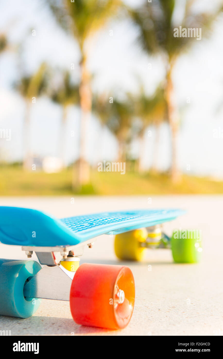 blue penny board with multicolored wheels stands on the track in front ...