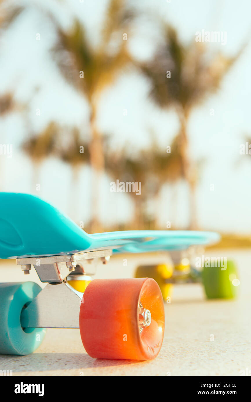 rear view of the blue penny board with multicolored wheels stands on ...