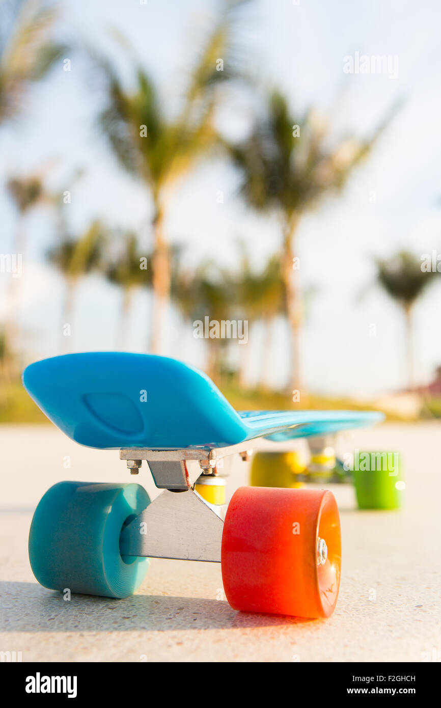 rear view of the blue penny board with multicolored wheels stands on ...