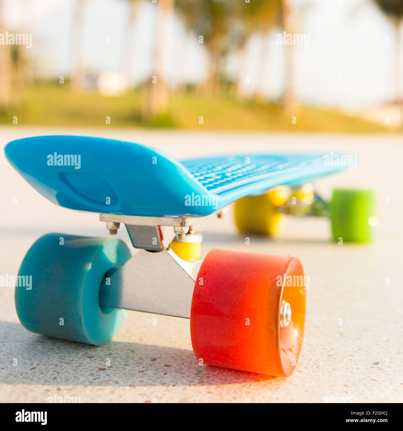 rear view of the blue penny board with bright multicolored wheels ...
