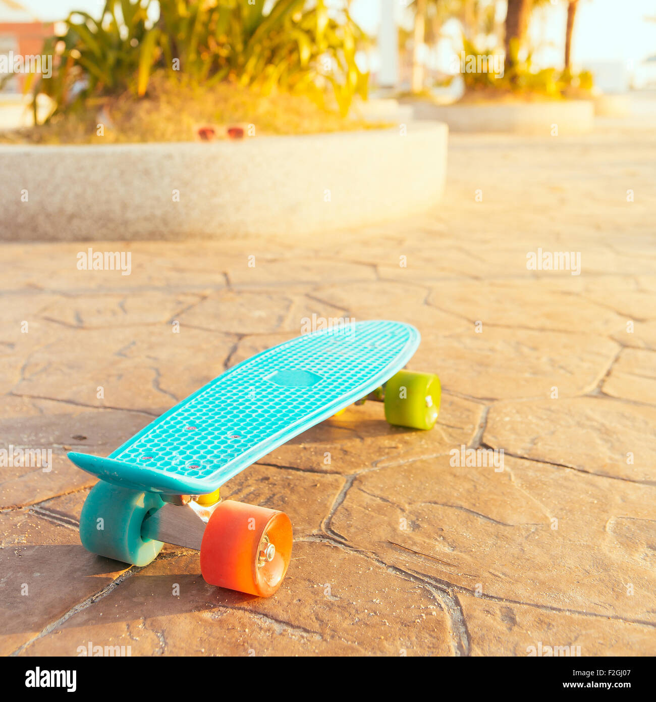 blue penny board with multicolored wheels stands on the track in front ...