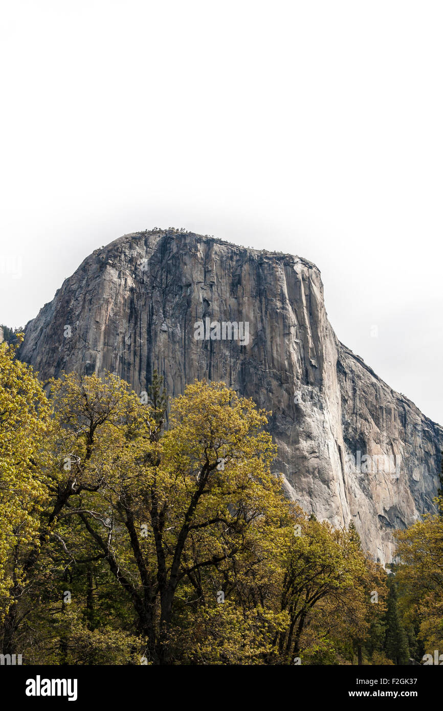 El Capitan, a vertical rock formation in Yosemite National Park ...