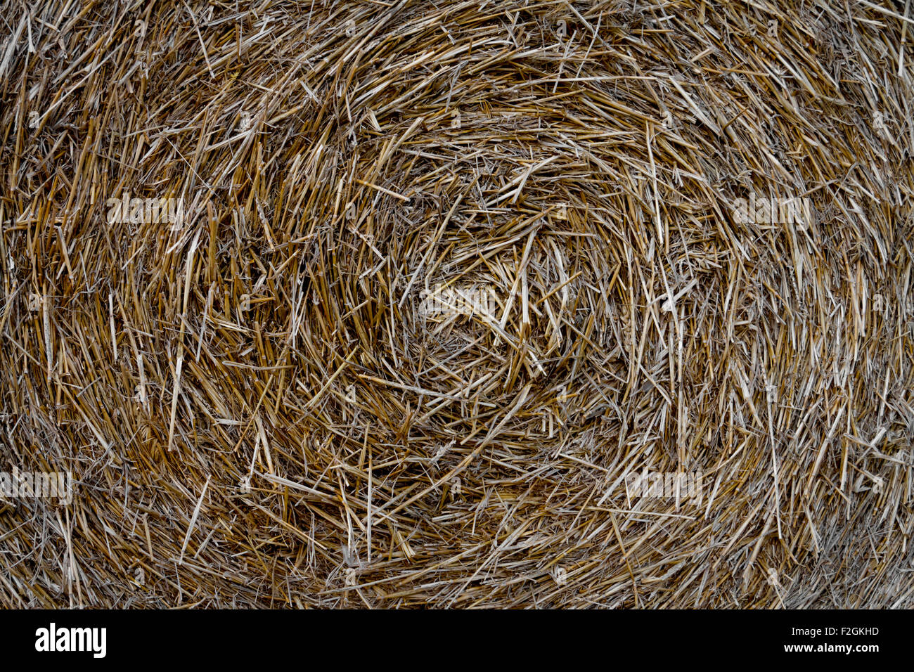 English hay bale hi-res stock photography and images - Alamy