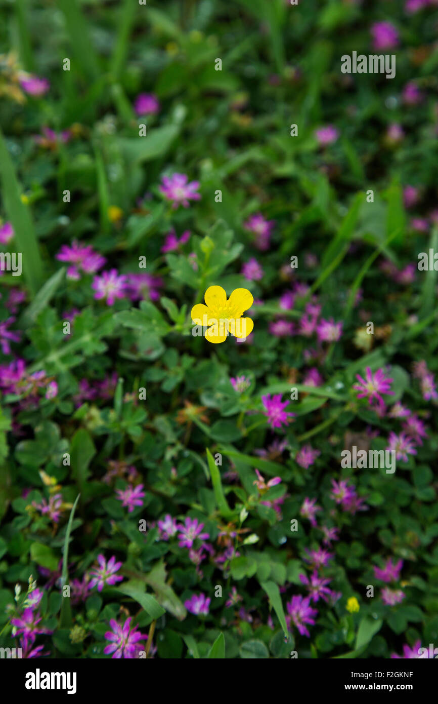 Outdoor exterior day daytime daylight nature scene scenery landscape ...