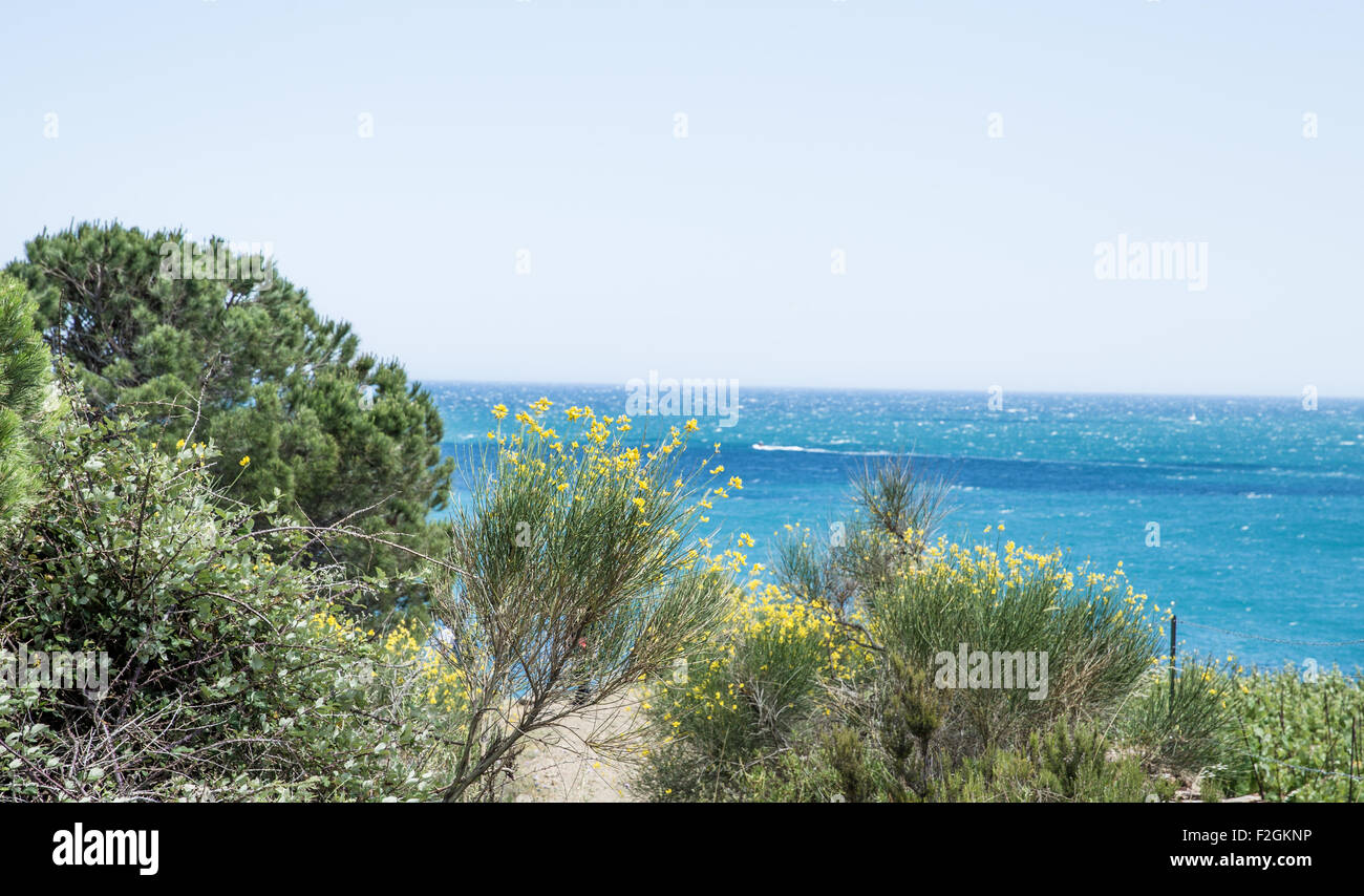 Southern French Landscape Stock Photo - Alamy