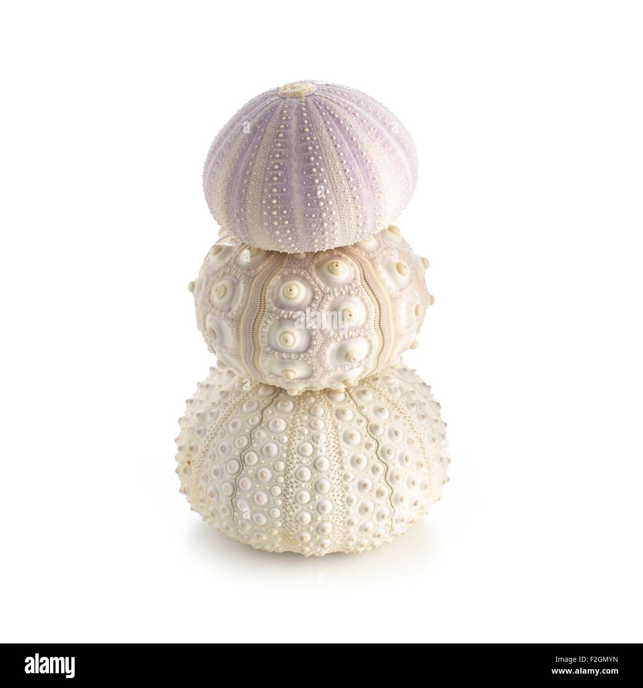 Each other Cut Out Stock Images & Pictures - Alamy