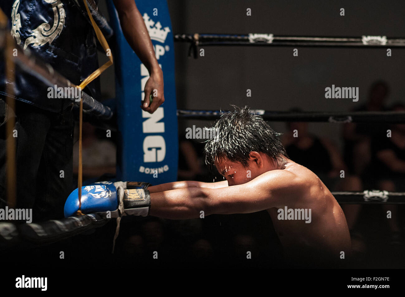 Muay Thai fight in Thailand boxing stadium Stock Photo - Alamy