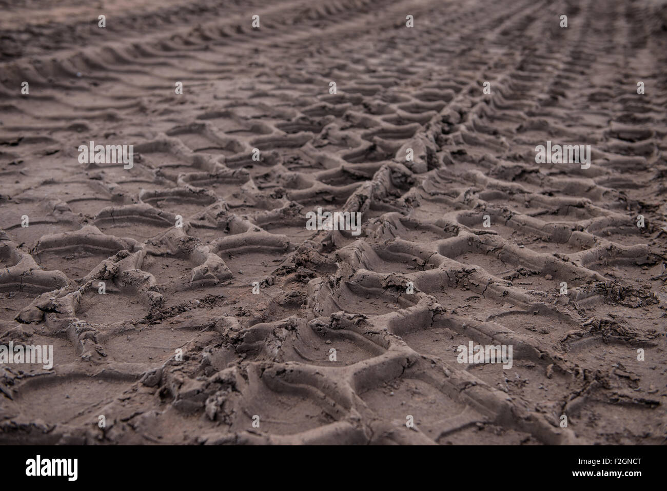 Deep tire tracks in sand and soil causing erosion and impaction Stock ...