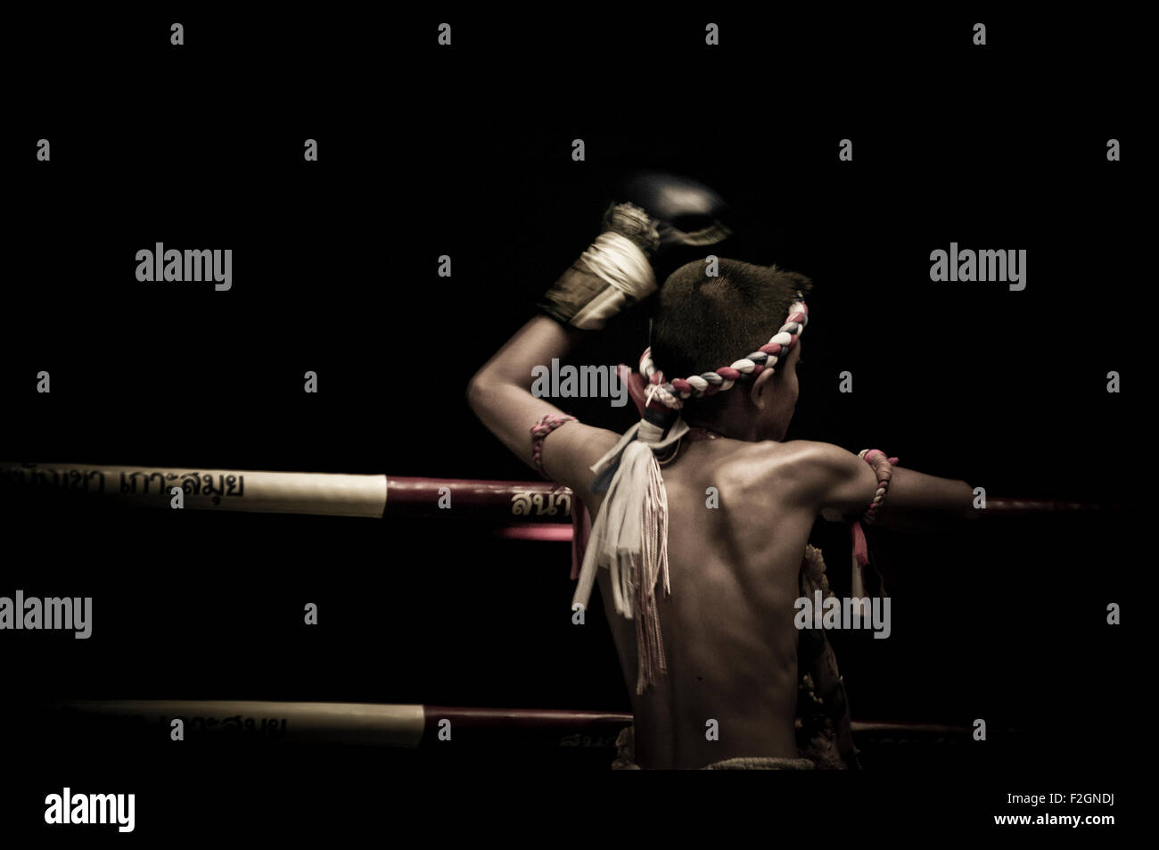 Muay Thai fight in Thailand boxing stadium Stock Photo - Alamy
